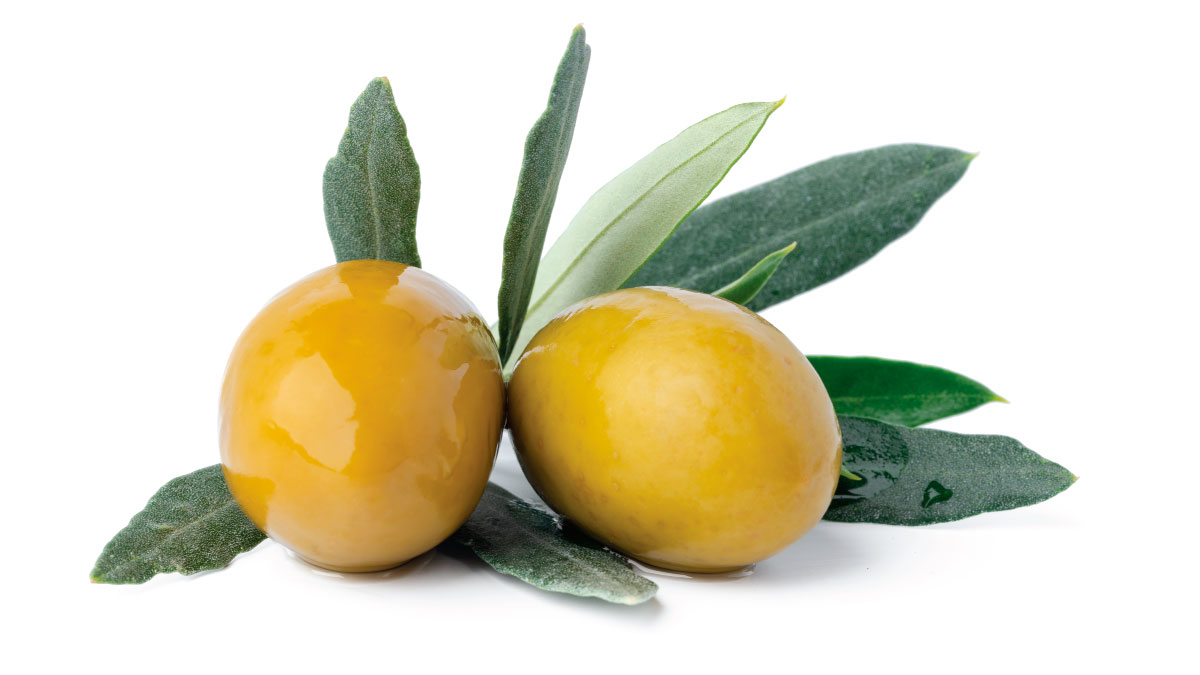 Nature’s Bounty — The Power of Olive Leaf Extract